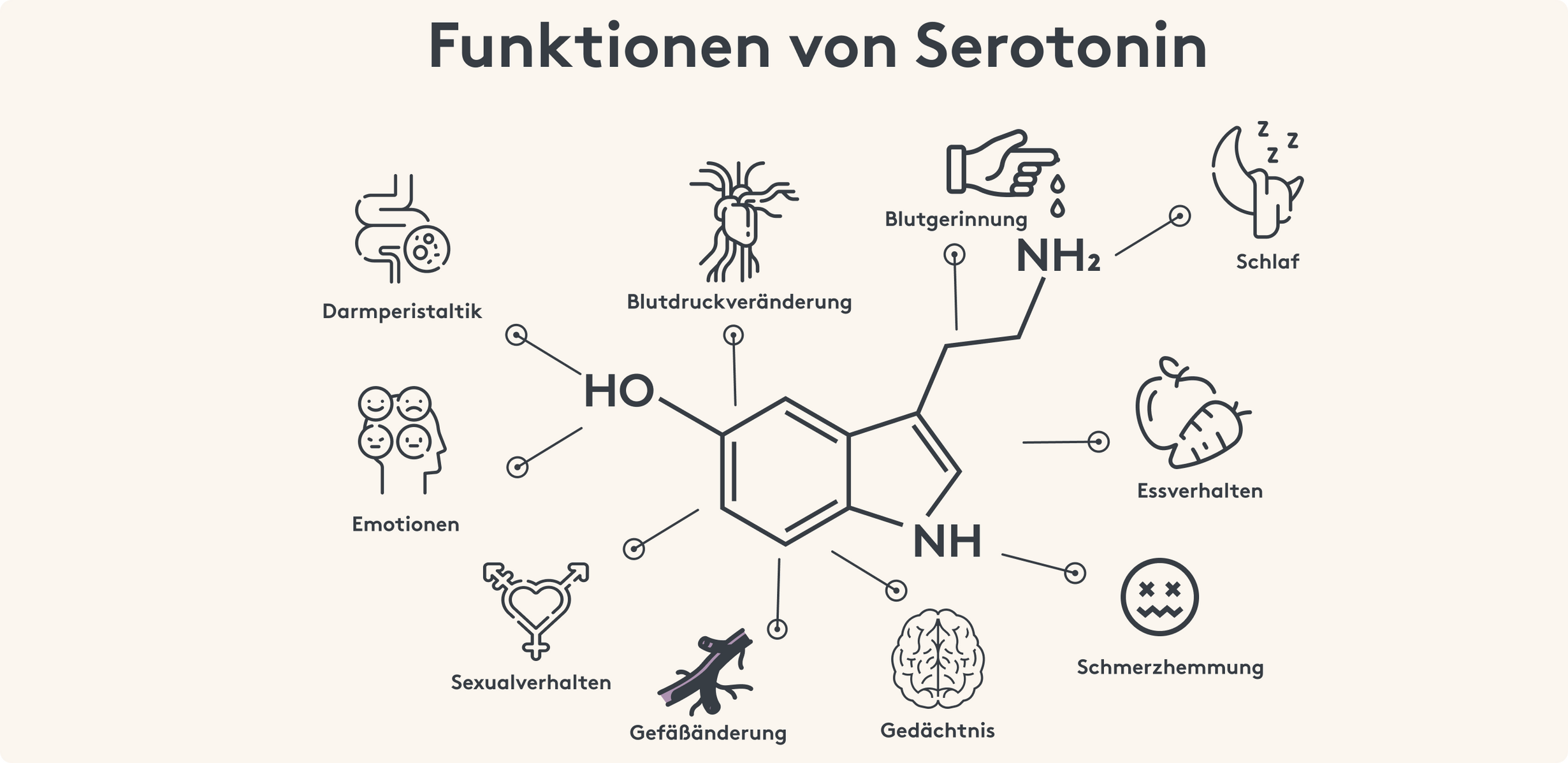 Serotonin & 5 HTP Definition, Wirkung | MITOcare