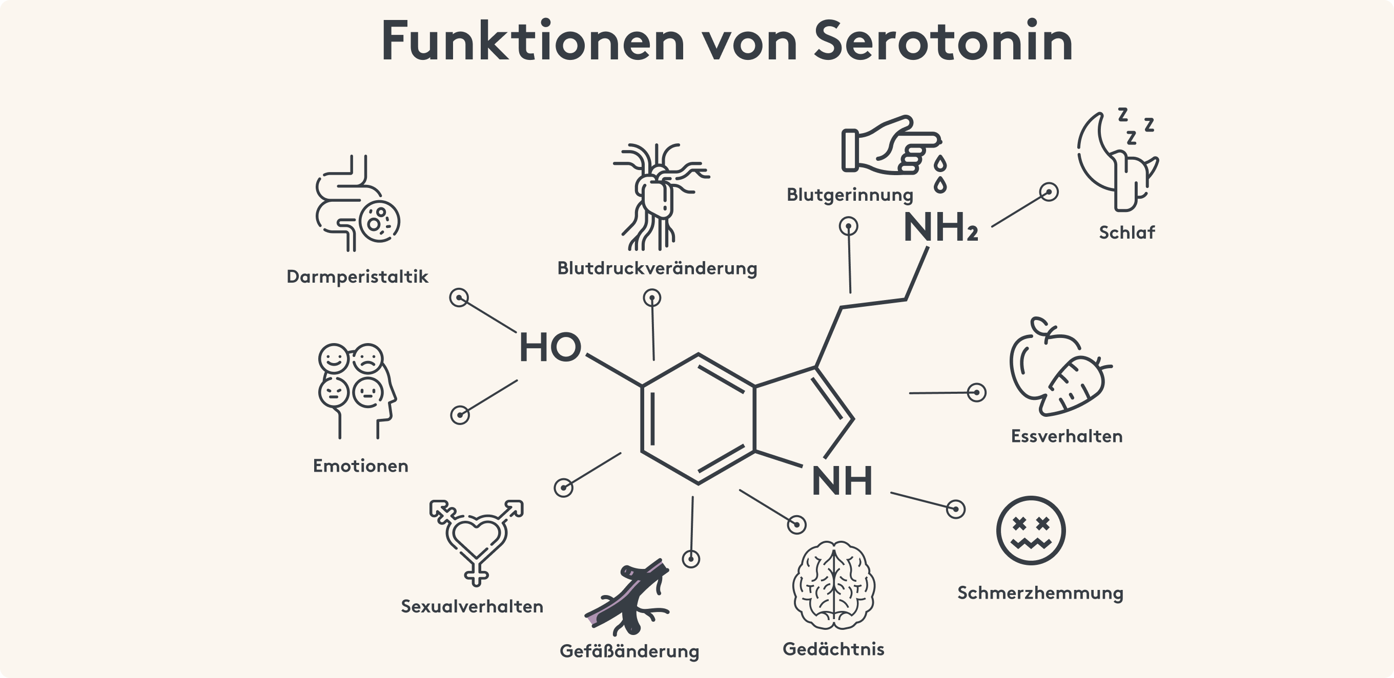 Serotonin & 5 HTP Definition, Wirkung | MITOcare