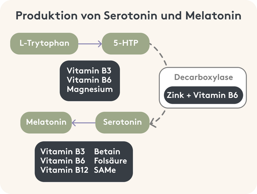 Serotonin & 5 HTP Definition, Wirkung | MITOcare